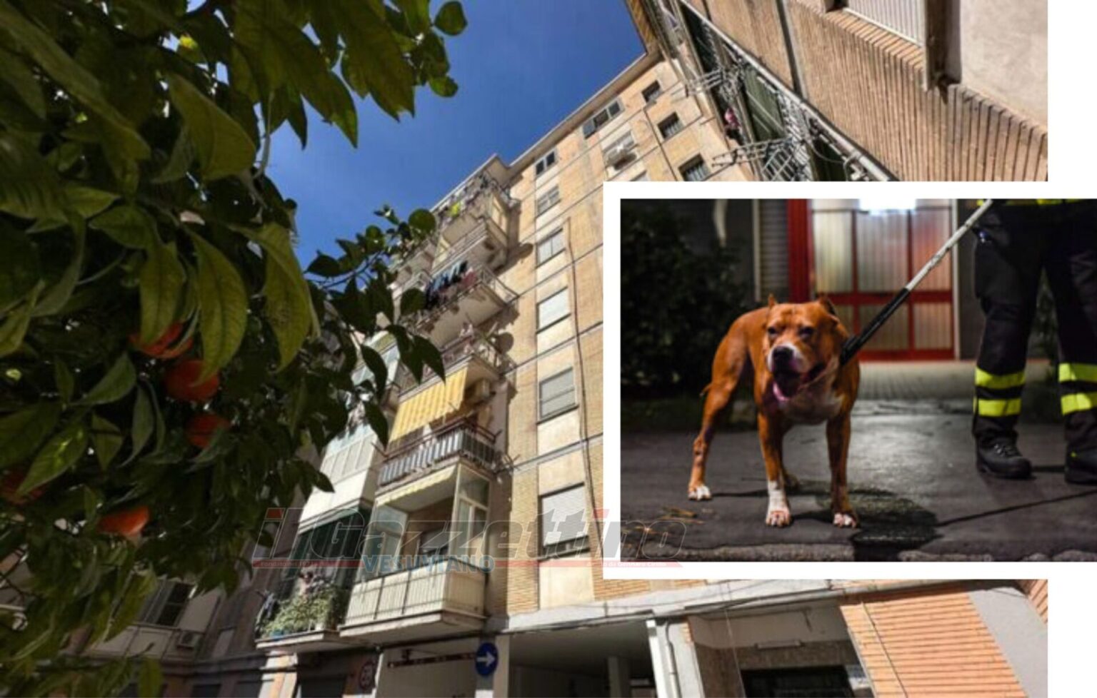 Mistero sulla morte della piccola Giulia ad Acerra: indagini in corso ...